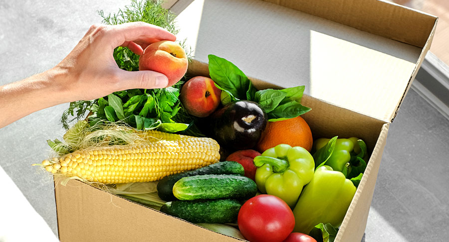 What’s keeping us from making our food supply chain better? | Ipsos