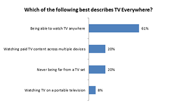 The Changing Landscape of TV | Ipsos