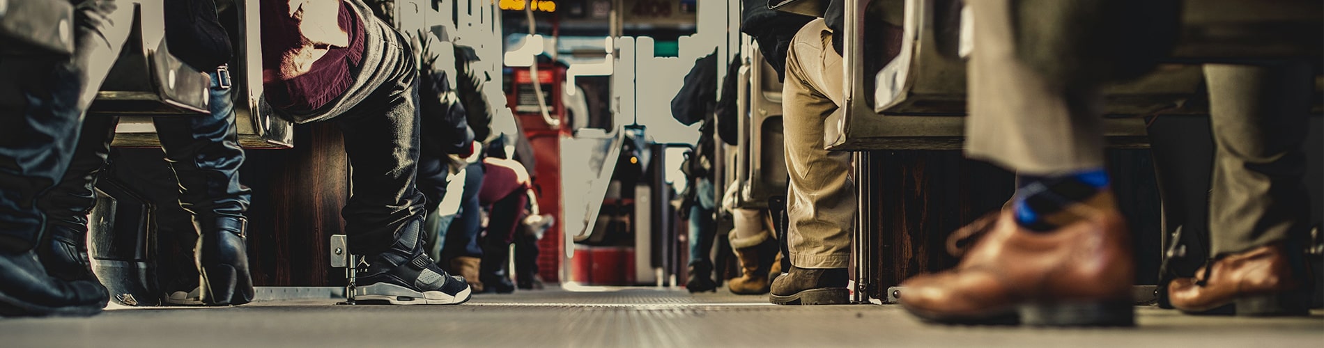 Data Collection | Ipsos