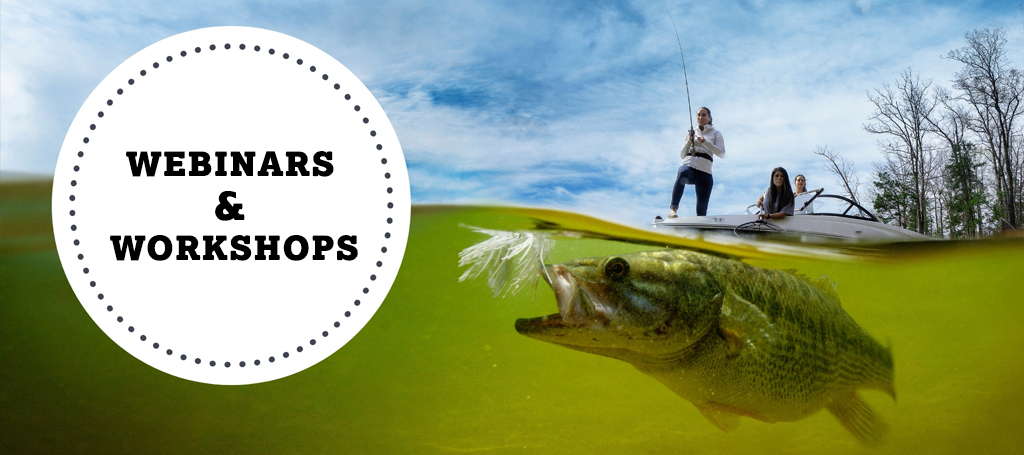 RBFF State Marketing Workshop | Ipsos