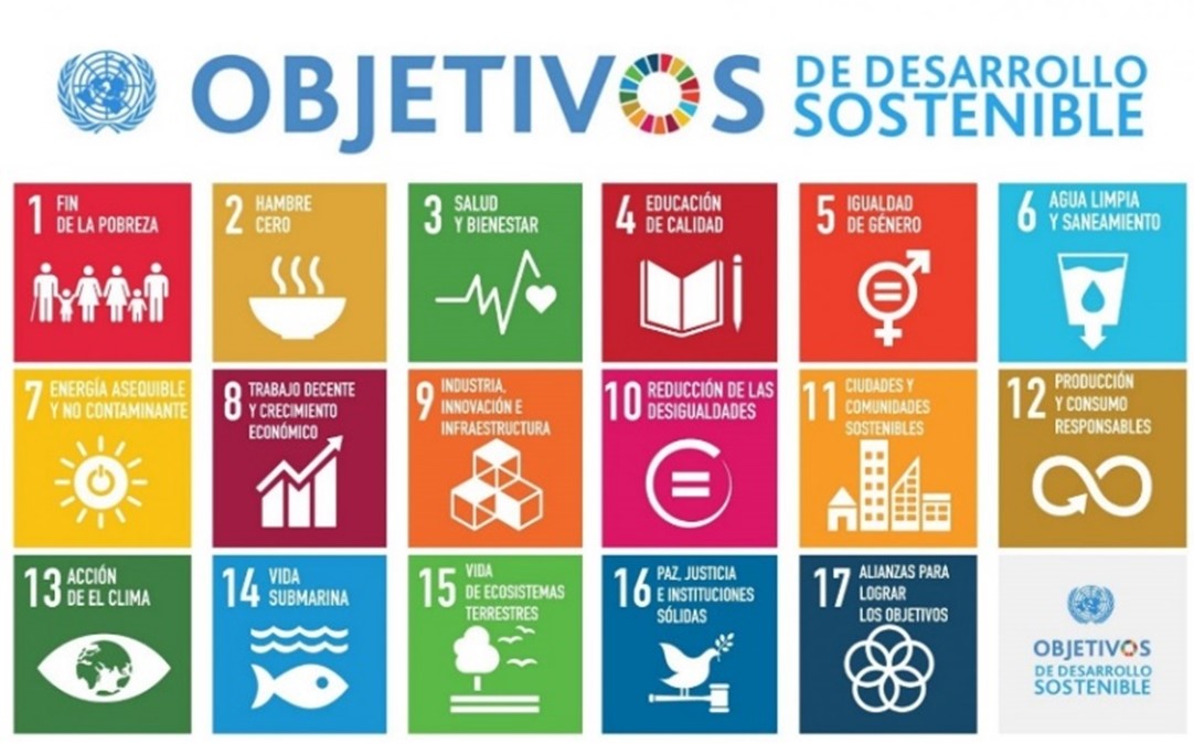 The Chilean route to sustainable development | Ipsos